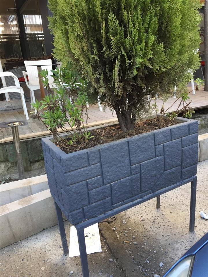 Vazo Me Gjithe Lule Tiranë Merrjepal